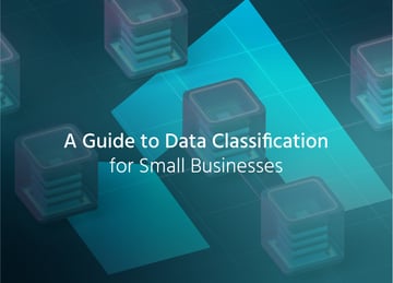A Guide to Data Classification for Small Businesses
